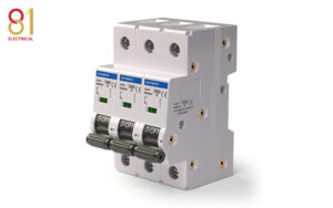 Key Differences Between an Isolator and Circuit Breaker